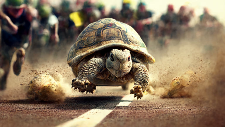 The tortoise wins…even in marketing! | Incito Mentis